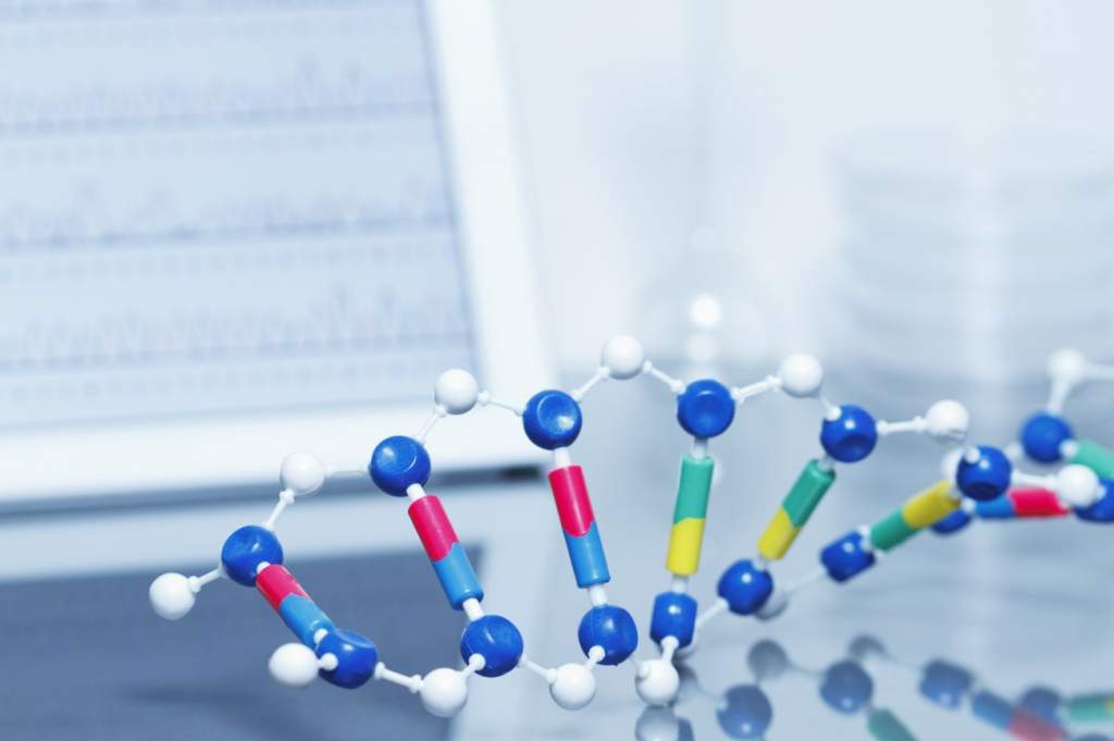 What Can A DNA Test Really Tell You Stuff Answered